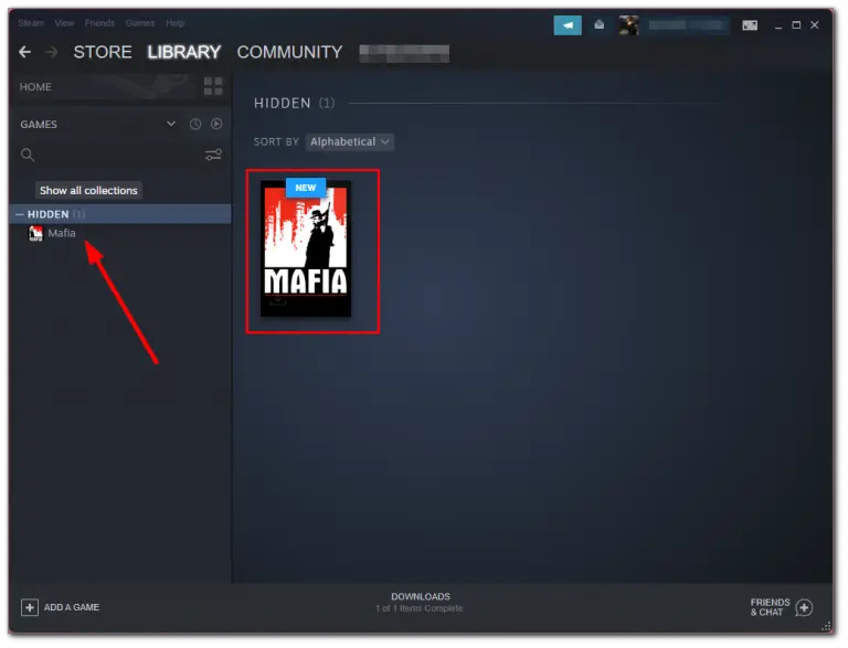 How to see hidden games on Steam | Splaitor