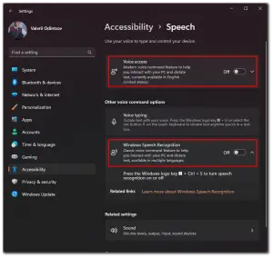How to turn off a speech-to-text in Windows 11 | Splaitor